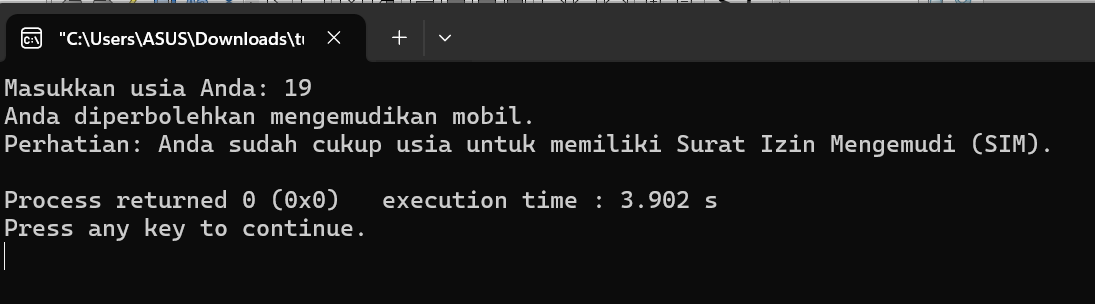 Tampilan Output
